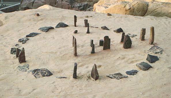 - Sabi Africa Network