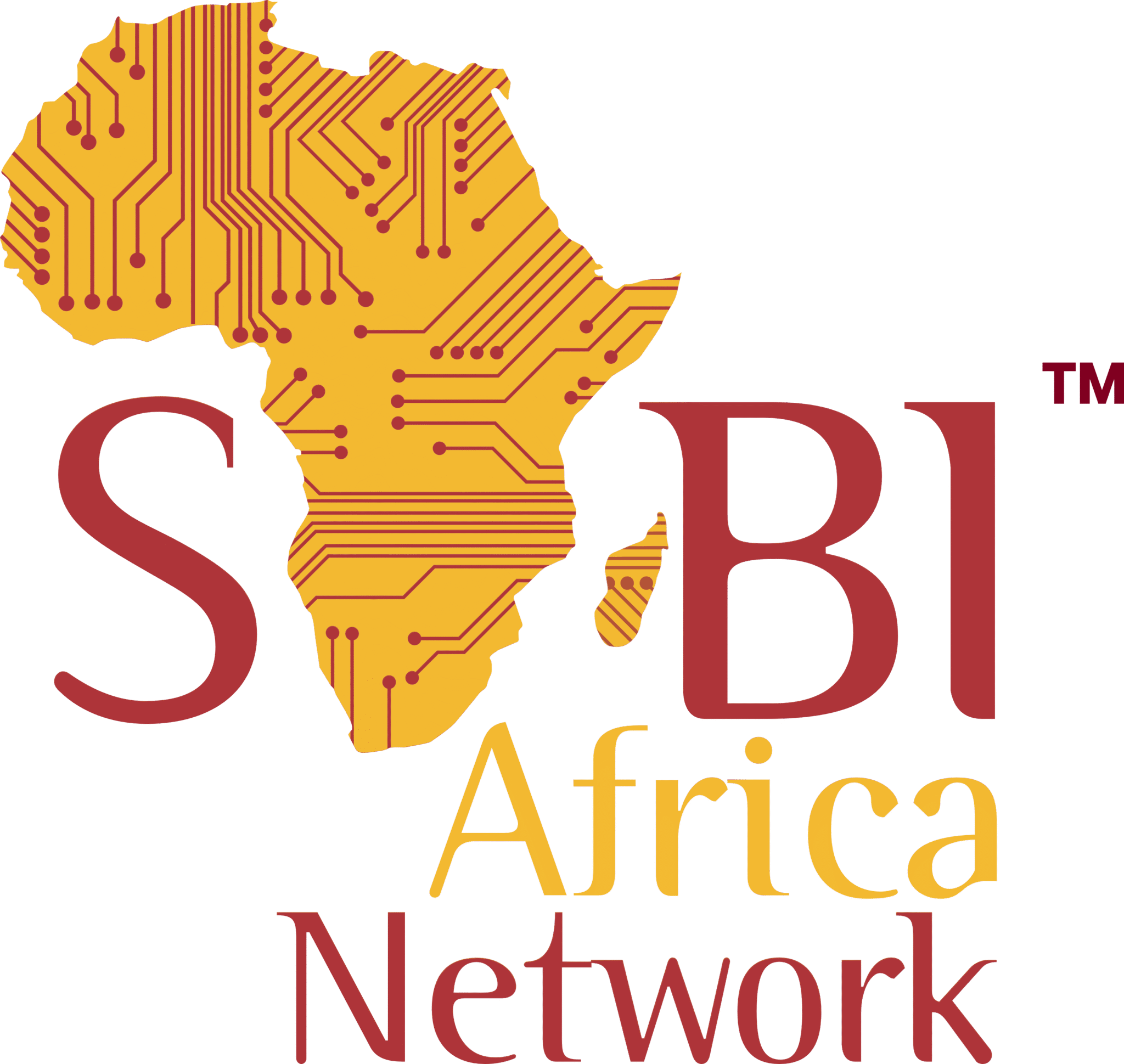 Innovative Services for a Sustainable Future - Sabi Africa Network