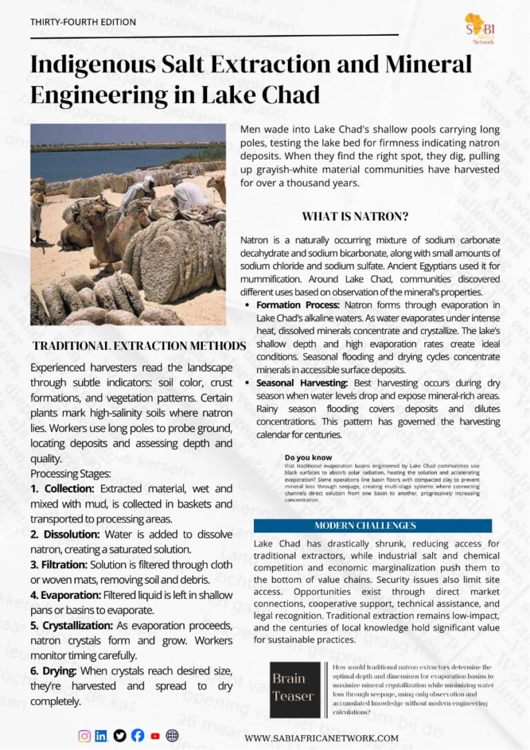 Salt Extraction - Sabi Africa Network